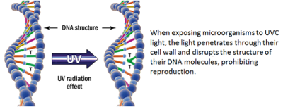 2 in 1 UV Test Card: UVC Indicator Test Strip With Separate UV Light ...